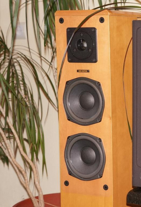 Hans Deutsch LS2 S II / Hi-End / резонатор | RCN.com.ua